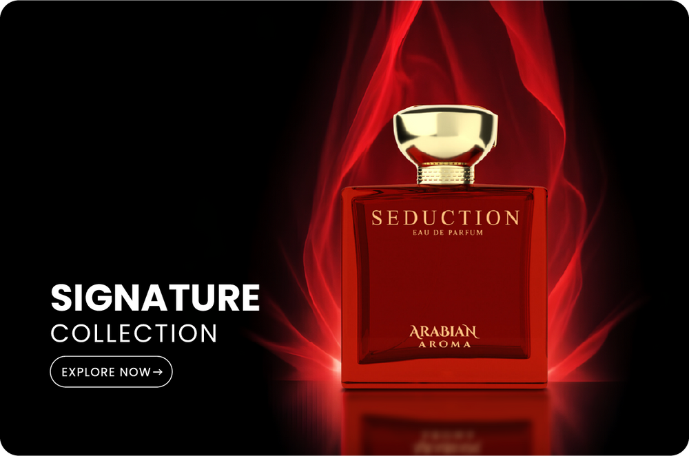 Dark Perfume By Arabian Aroma | Long Lasting Perfume In Budget